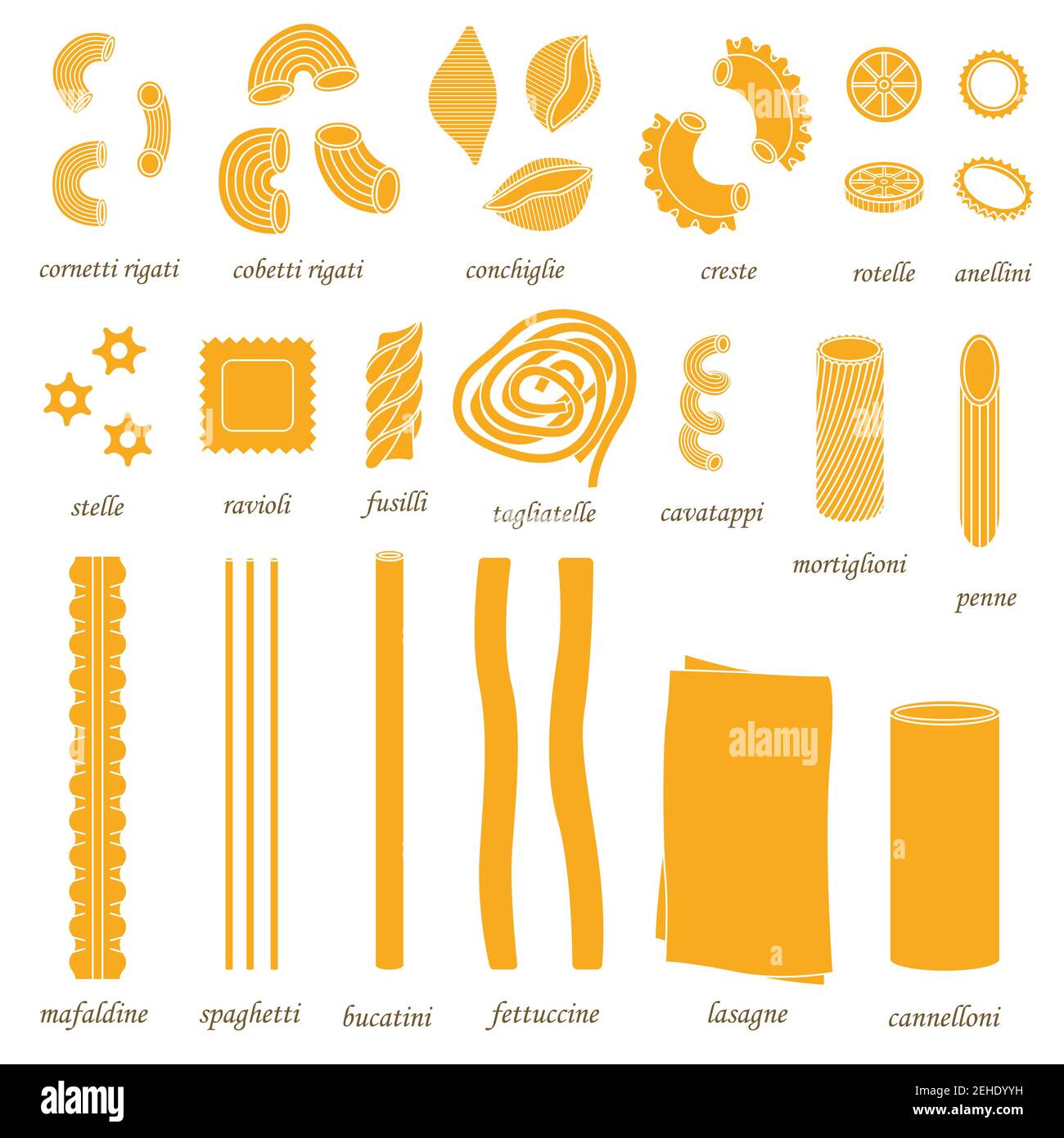 The vector set of different types of italian pasta. Line art and simple ...