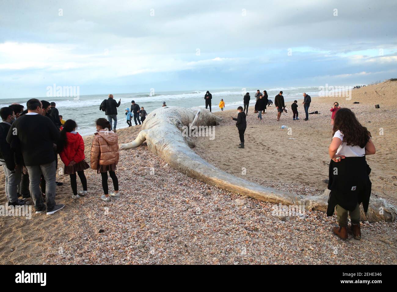 Nitzanim kibbutz hi-res stock photography and images - Alamy