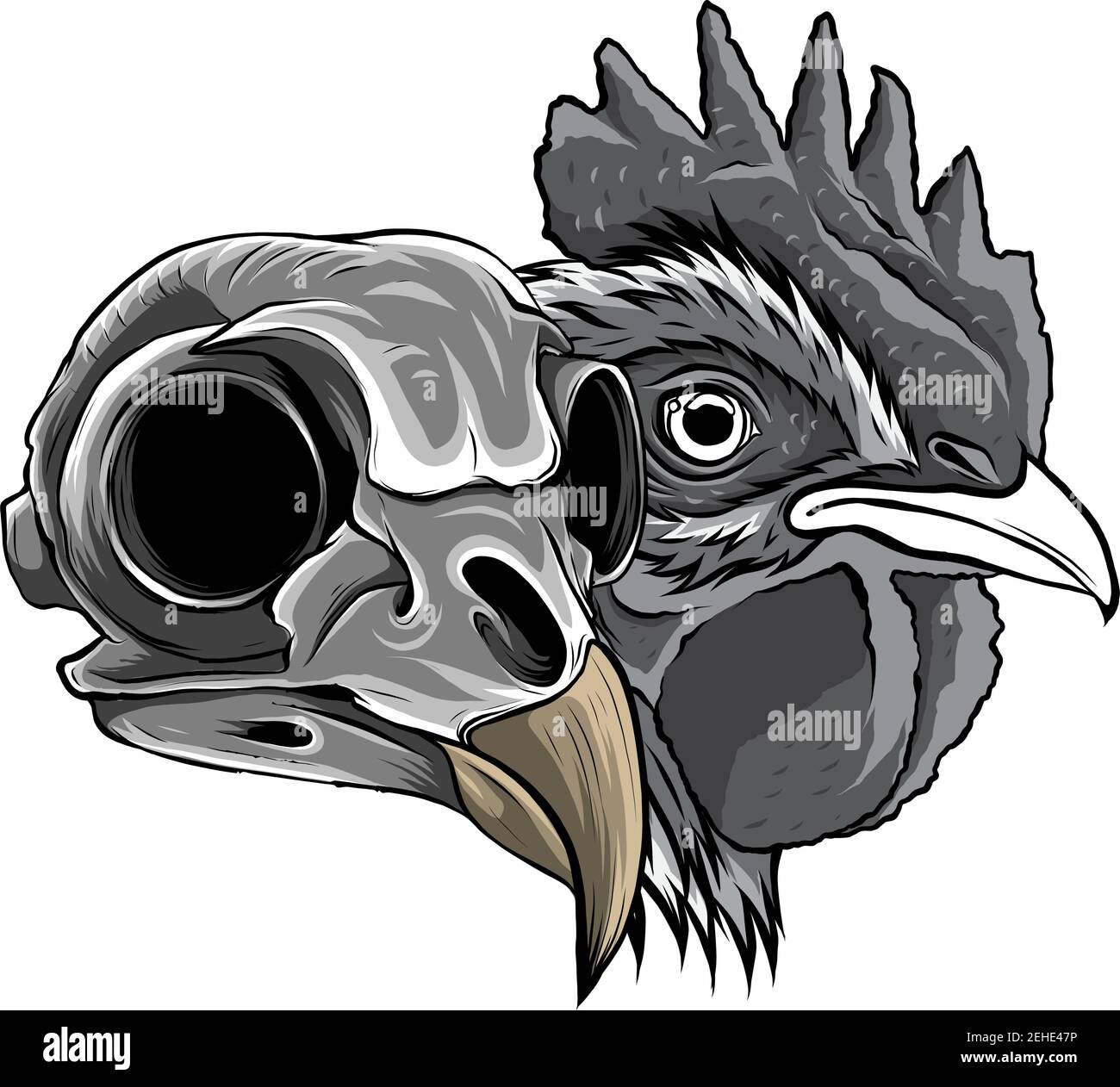 Sketch Chicken Skull vector artwork Stock Vector Image & Art - Alamy