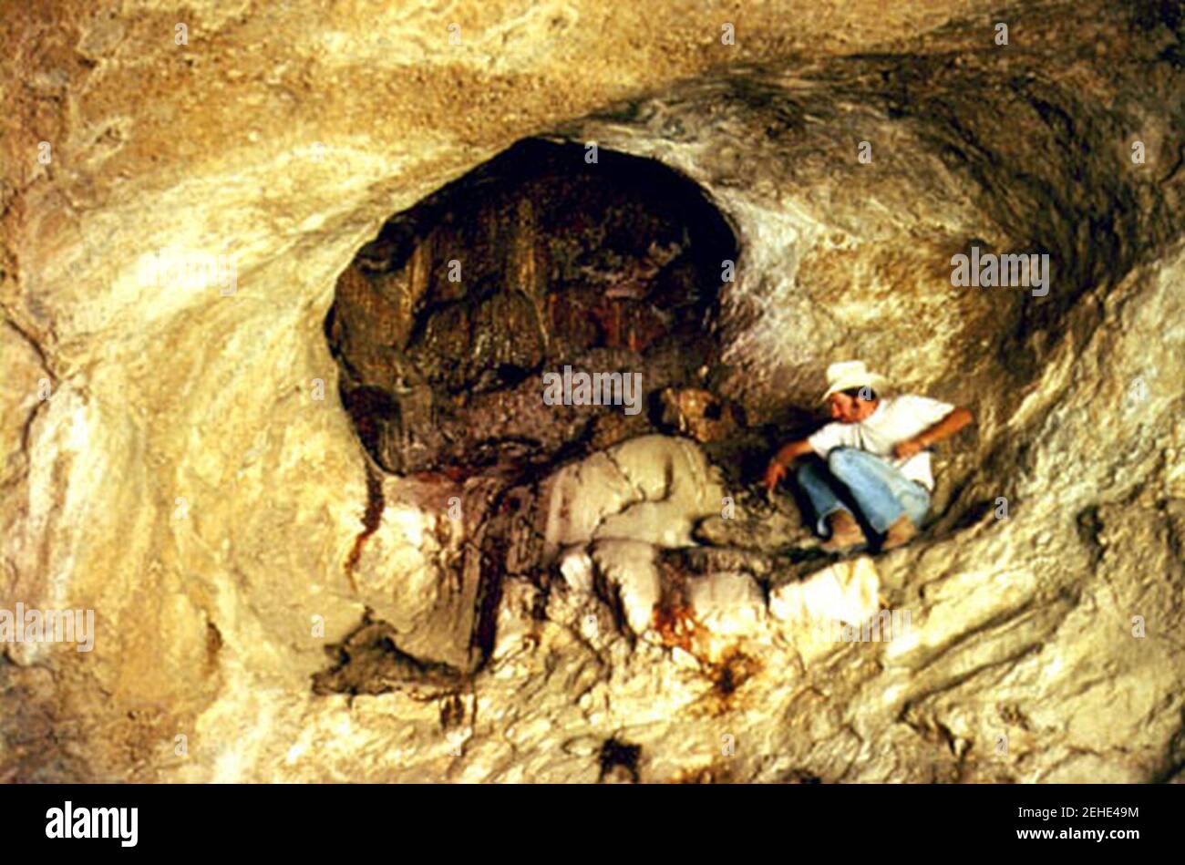 Pack rat midden Stock Photo - Alamy