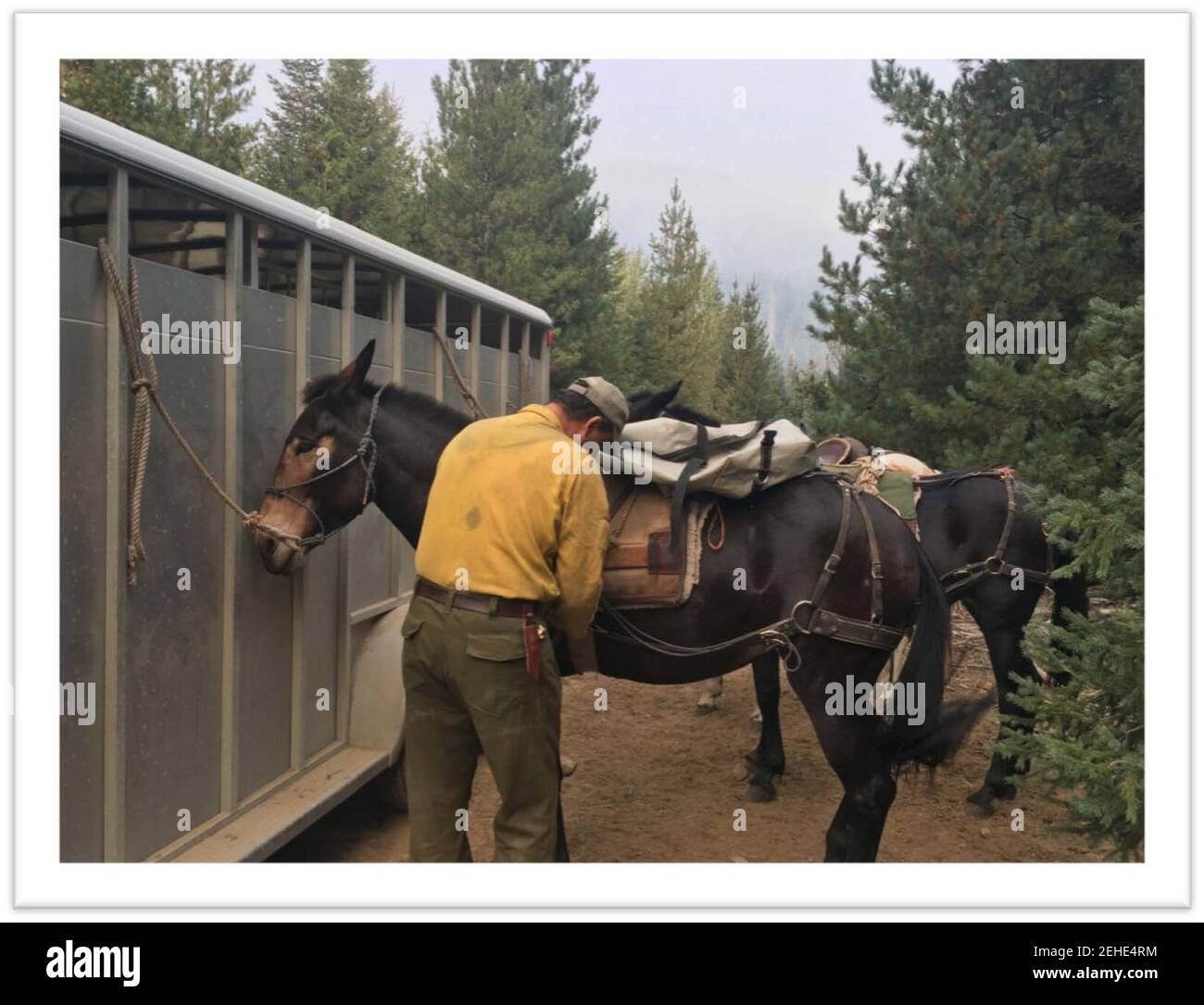 Mike packer Cut Out Stock Images & Pictures - Alamy