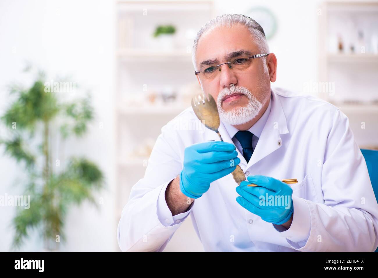 Old male archaeologist working in the lab Stock Photo - Alamy