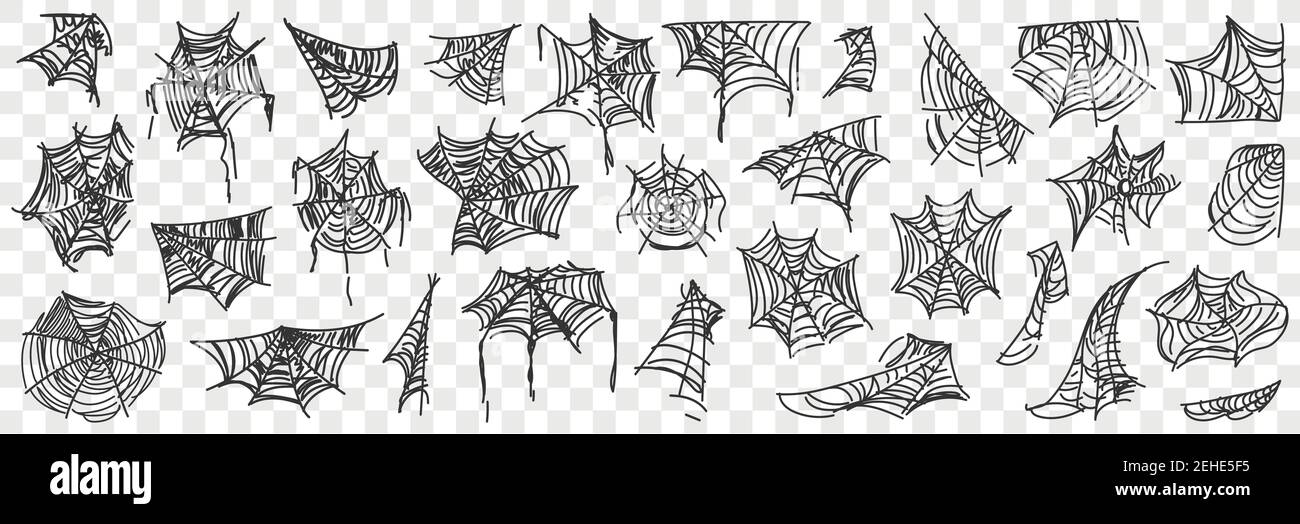Spider web patterns doodle set. Collection of hand drawn silhouette of ...