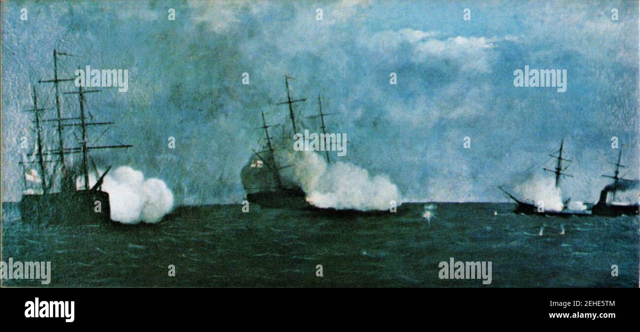 Pacocha hi-res stock photography and images - Alamy