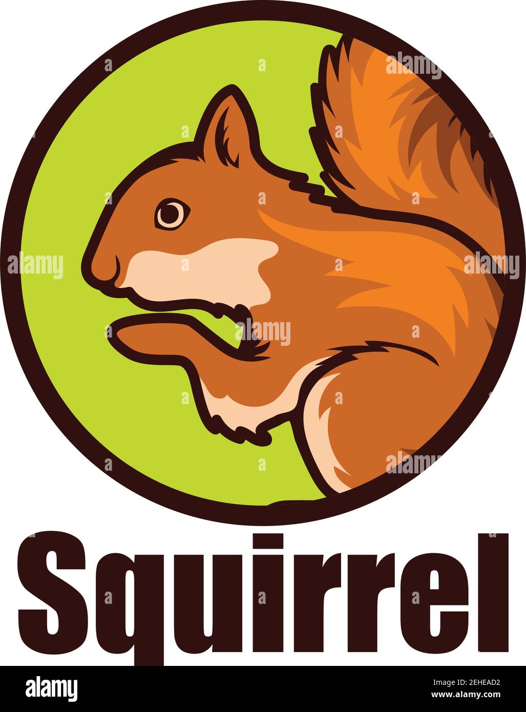 squirrel logo isolated on white background vector illustration Stock ...