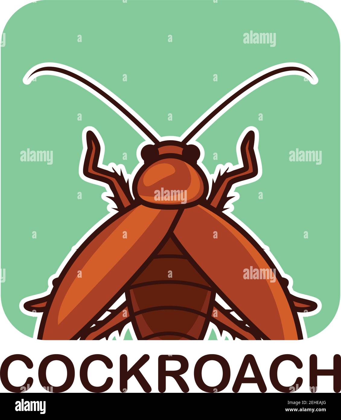 Cockroach Vector Vectors High Resolution Stock Photography and Images ...