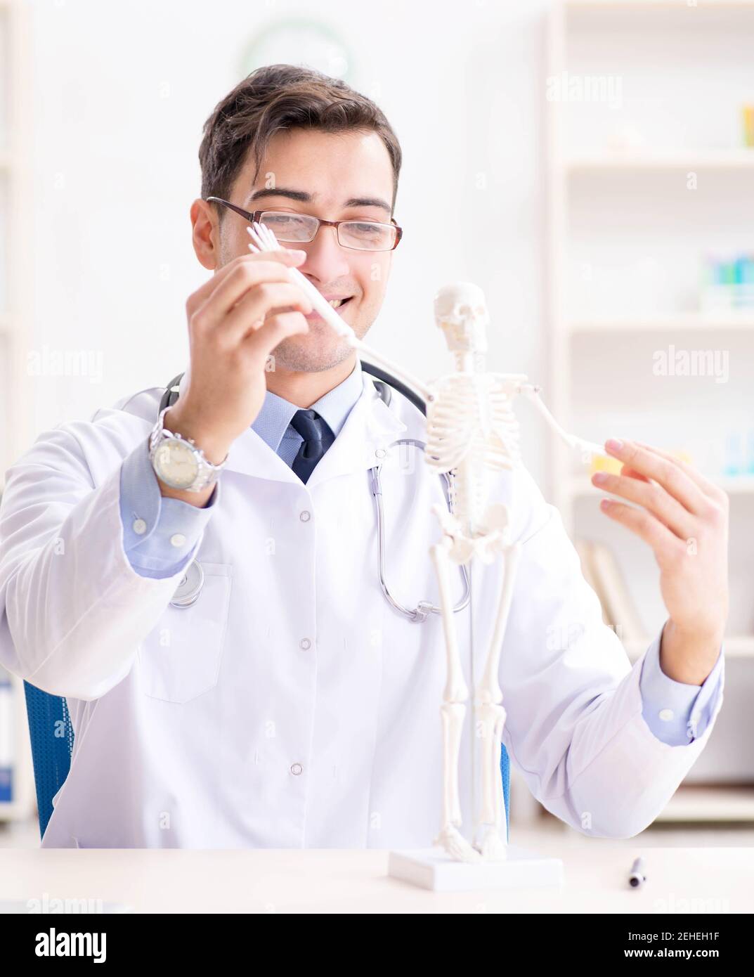 The doctor explaining human body on skeleton Stock Photo - Alamy
