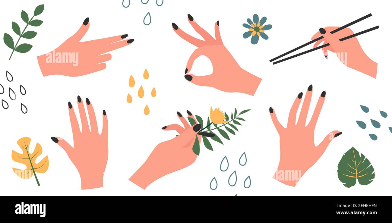 female hands vector set Stock Vector Image & Art - Alamy