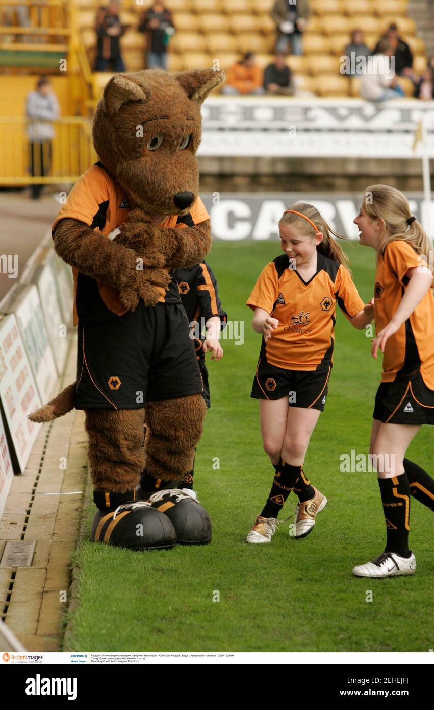 Wolverhampton wolves mascots hi-res stock photography and images - Alamy