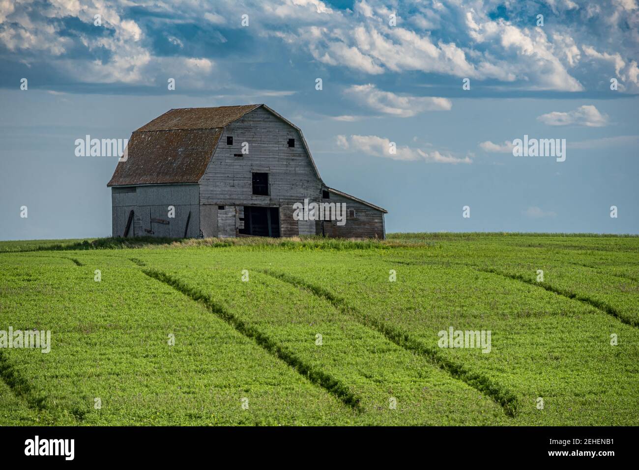 The wheat barn roof hi-res stock photography and images - Alamy