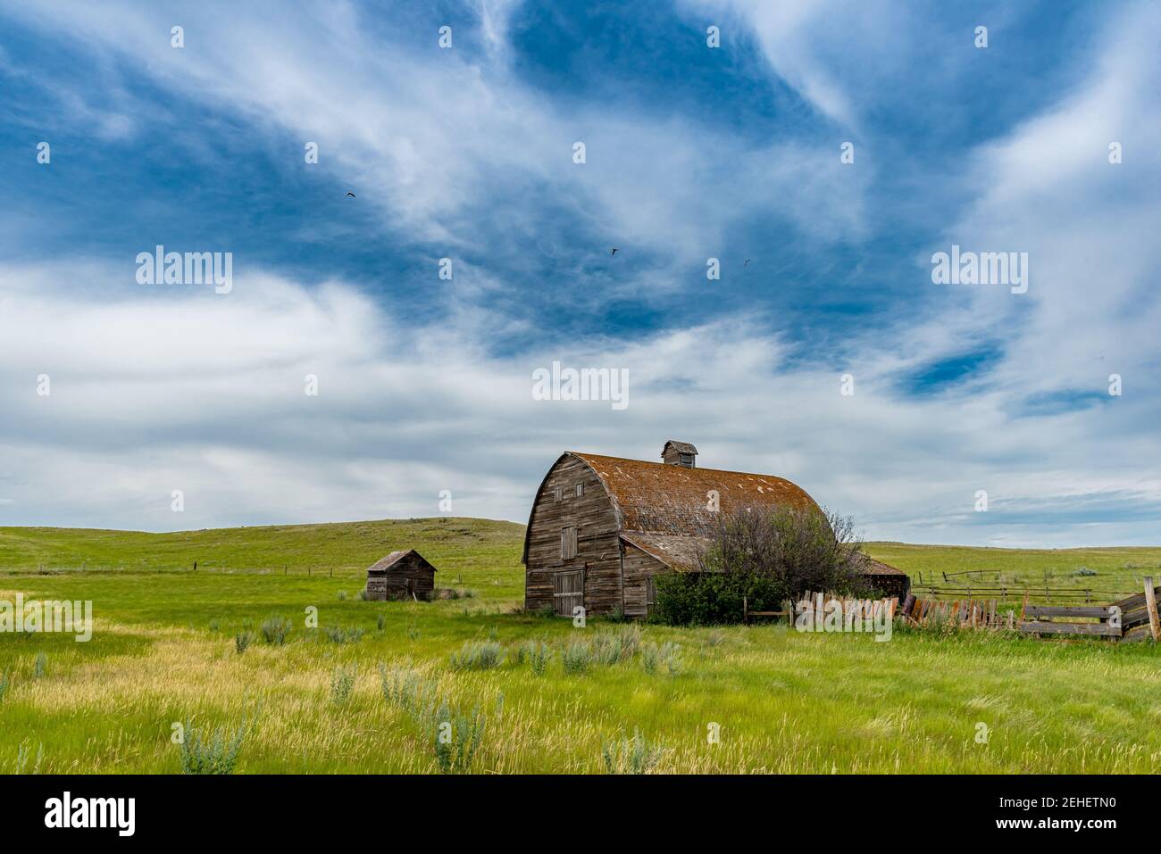 Blue sky over an old prairie barn in the Flintoft-Lankenheath area of ...