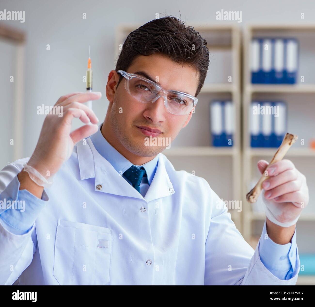 The paleontologist looking at extinct animal bone Stock Photo - Alamy