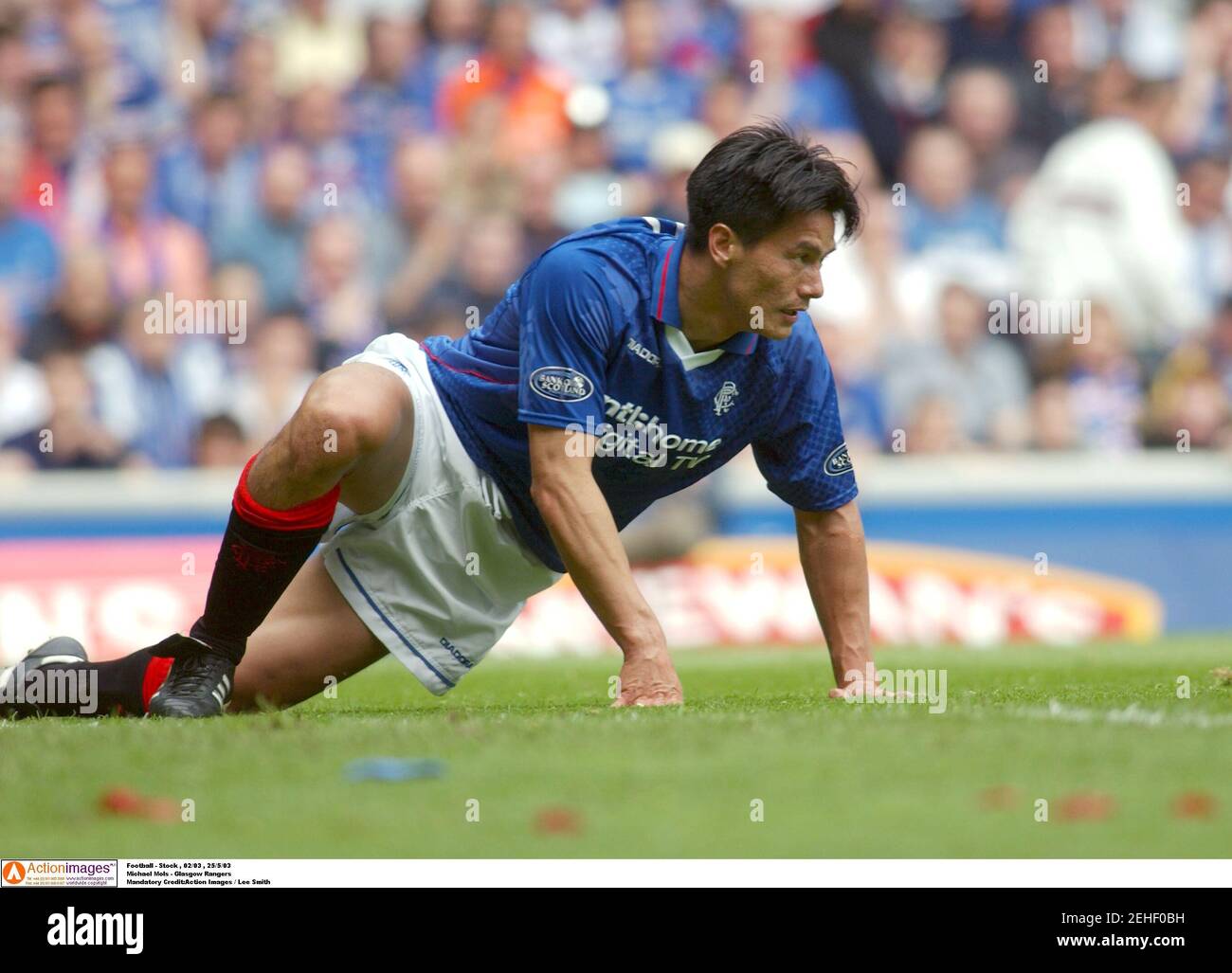 Michael Mols High Resolution Stock Photography and Images - Alamy