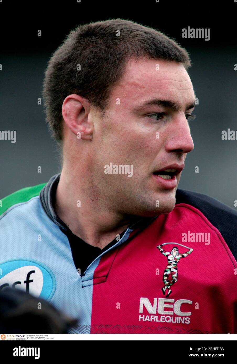 Nec harlequins roy winters hi-res stock photography and images - Alamy