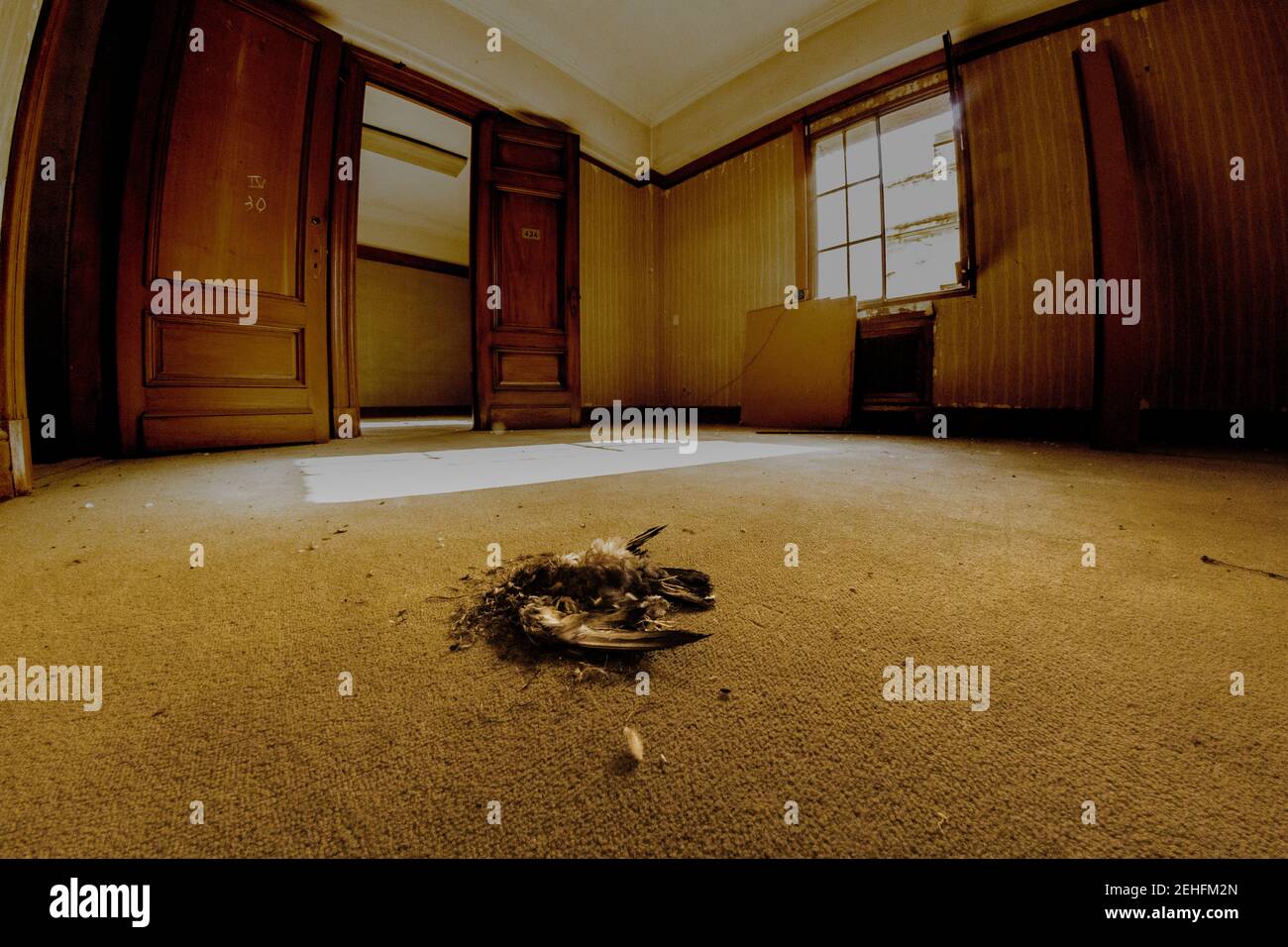 abandoned apartment old house with death Stock Photo - Alamy
