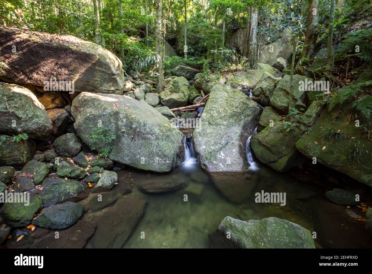 Waterfall in tijuca forest hi-res stock photography and images - Alamy
