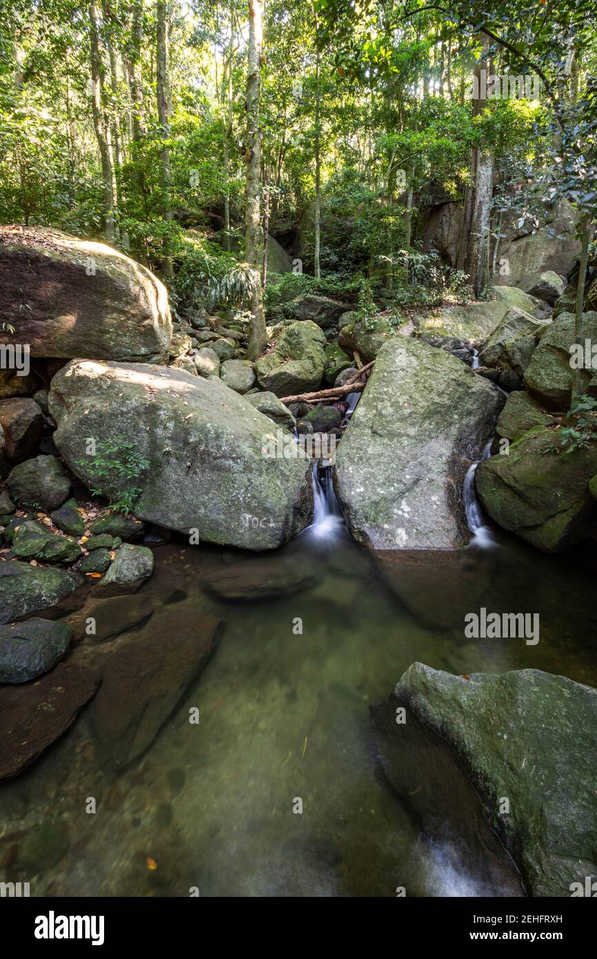 Waterfall in tijuca forest hi-res stock photography and images - Alamy