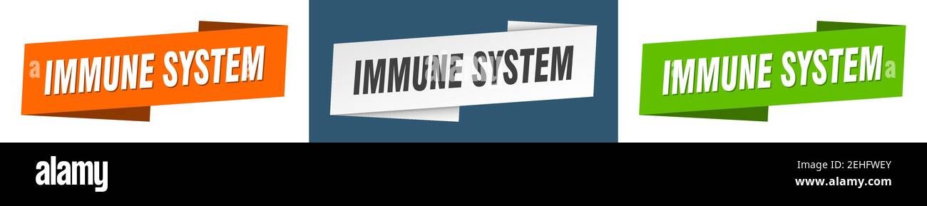immune system ribbon label sign set. immune system banner Stock Vector ...
