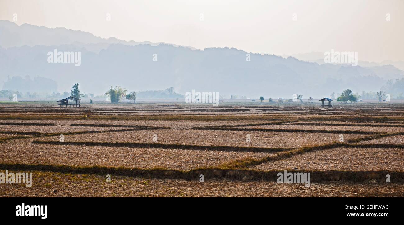 dried up rice field in Laos Stock Photo - Alamy