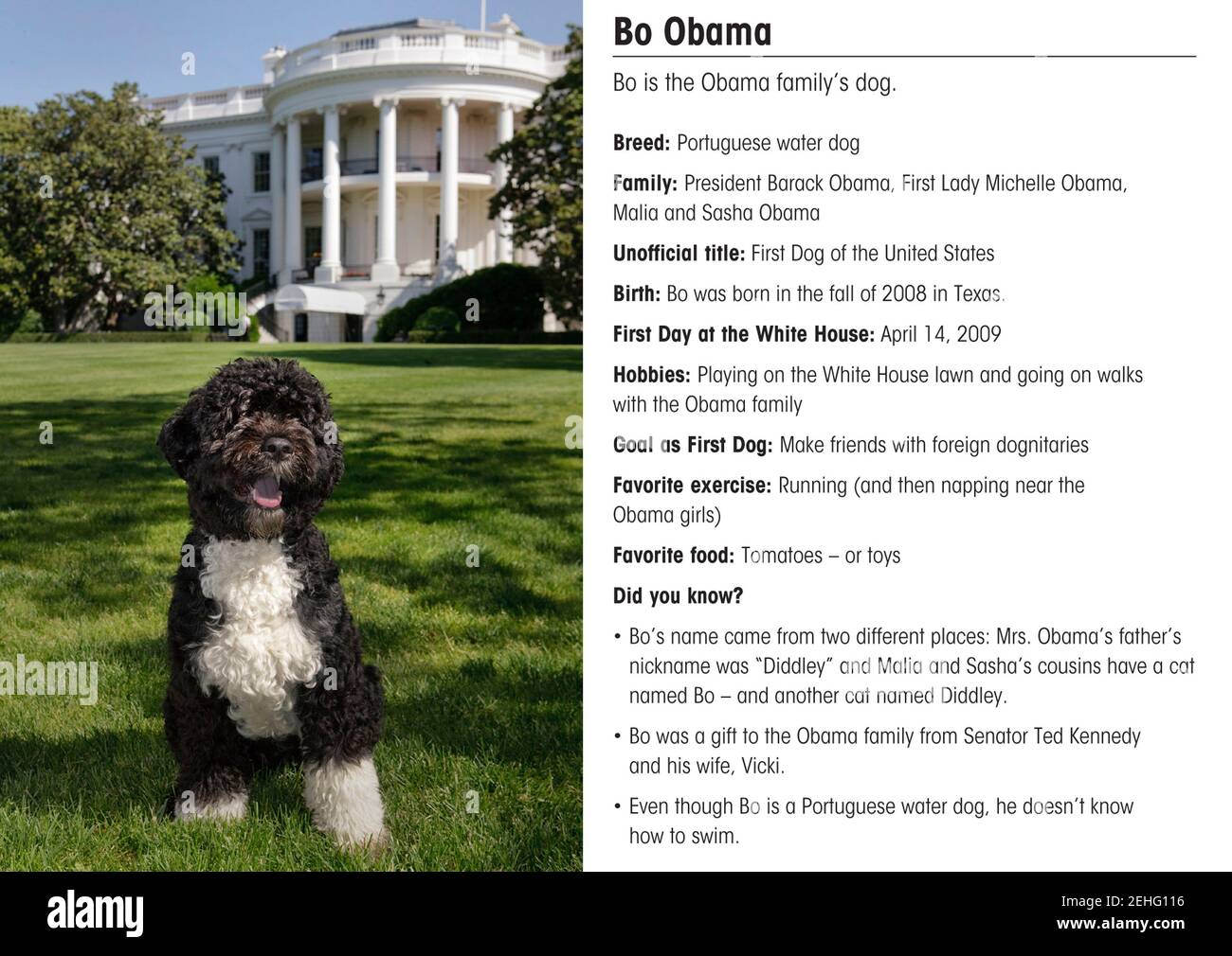 Bo the whitehouse hi-res stock photography and images - Alamy