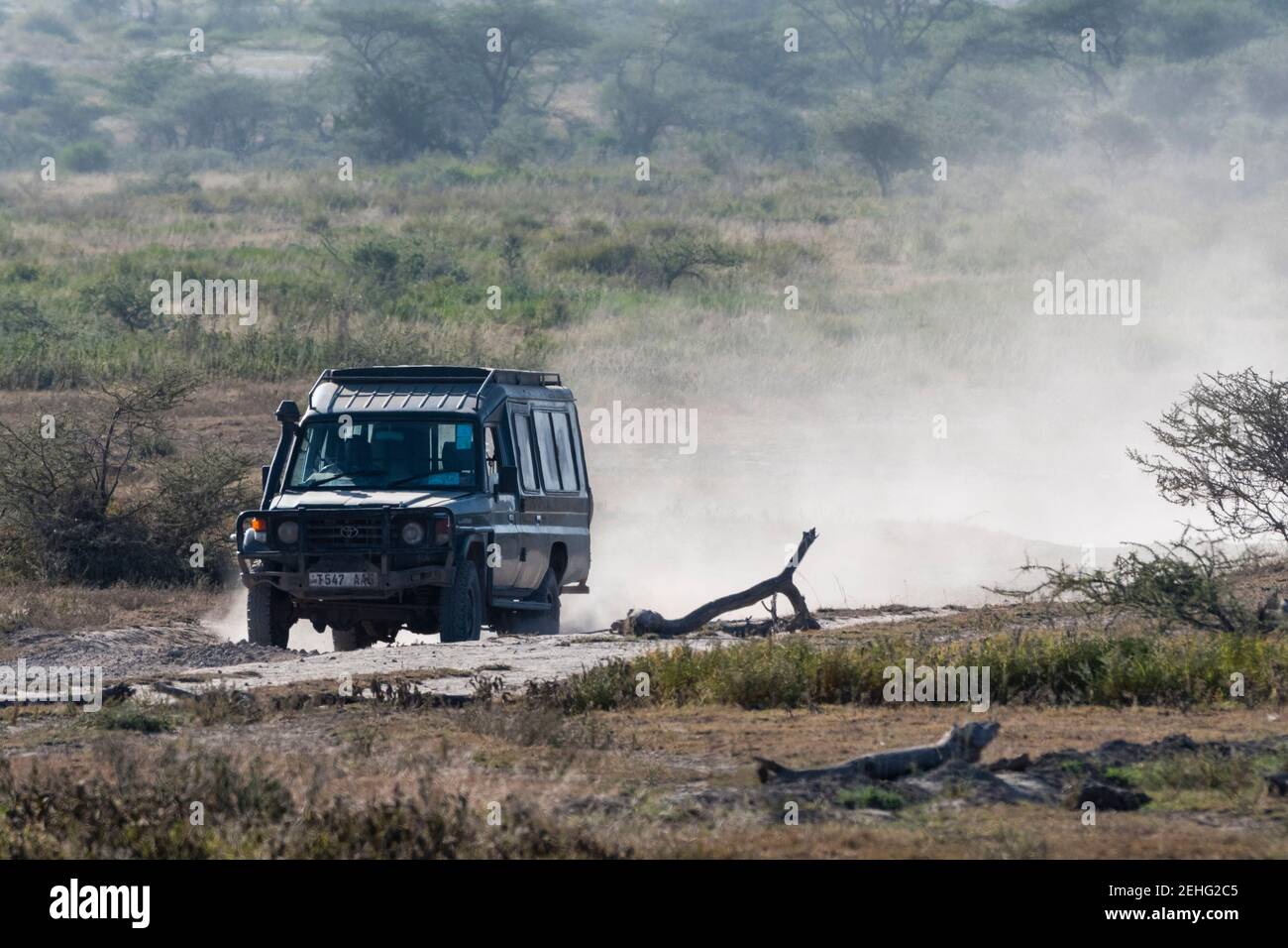 A safari vehicle driving in the Ndutu area, Ndutu, Ngorongoro ...