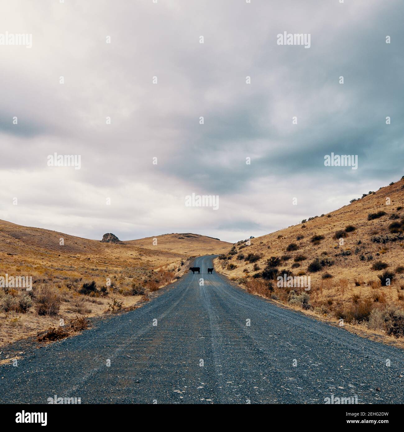 Leslie gulch road hi-res stock photography and images - Alamy