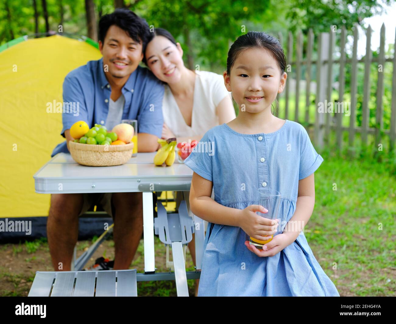 Family activities picnics hi-res stock photography and images - Alamy