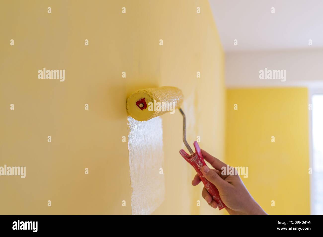 Decorator's hand painting wall with roller Stock Photo - Alamy