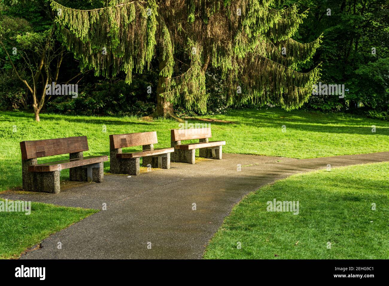 benches in the park sunny spring day and walking path Stock Photo - Alamy