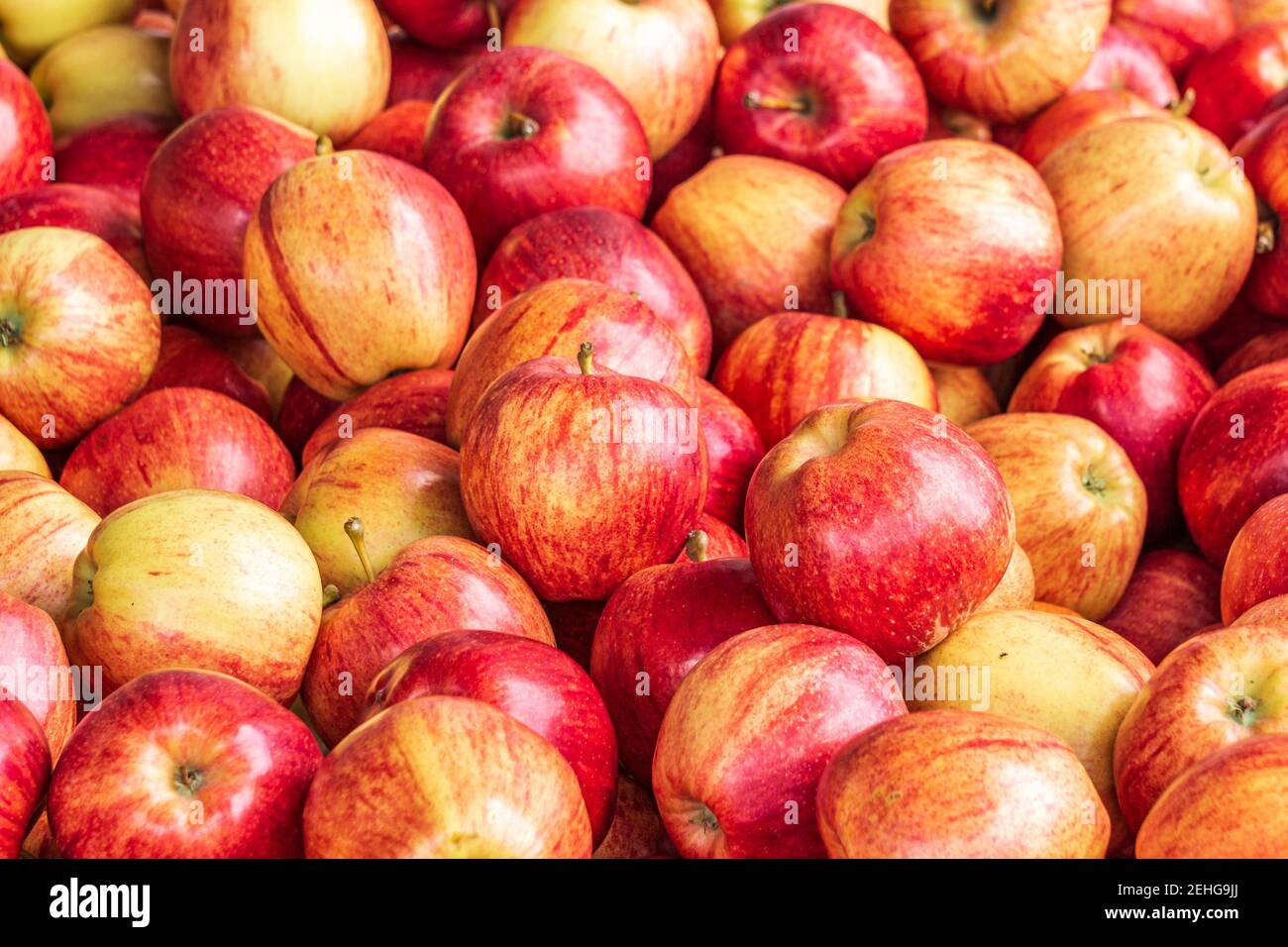 fresh organic apples close up at market for background Stock Photo - Alamy