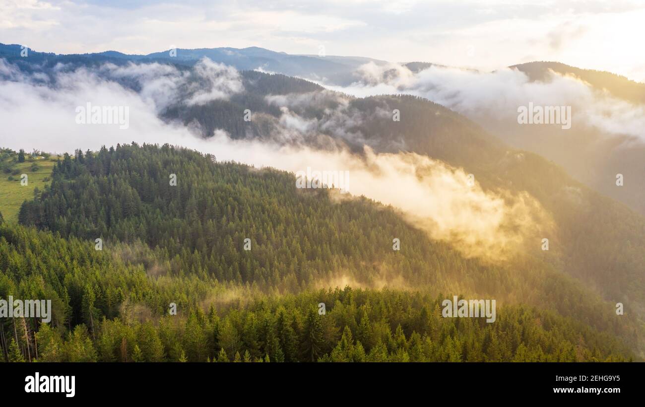 Aerial view of tropical rainforest covered by cloud and fog Stock Photo ...