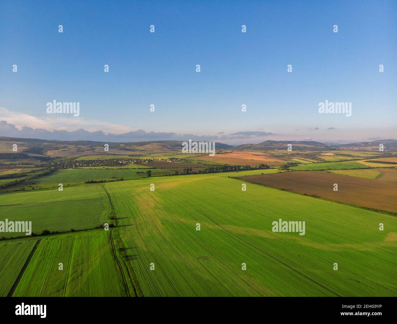 Aerial view on green fields Stock Photo - Alamy