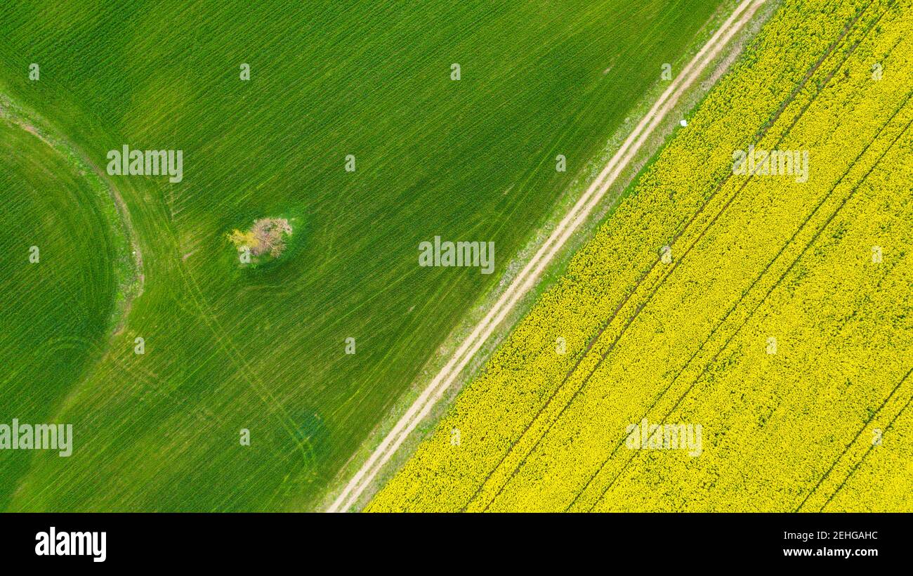 Aerial view of summer fields. Yellow fields from above. Photo captured ...