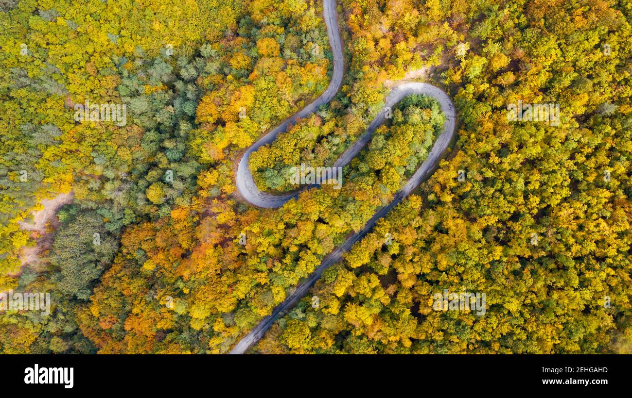 Aerial oak beech forest hi-res stock photography and images - Alamy