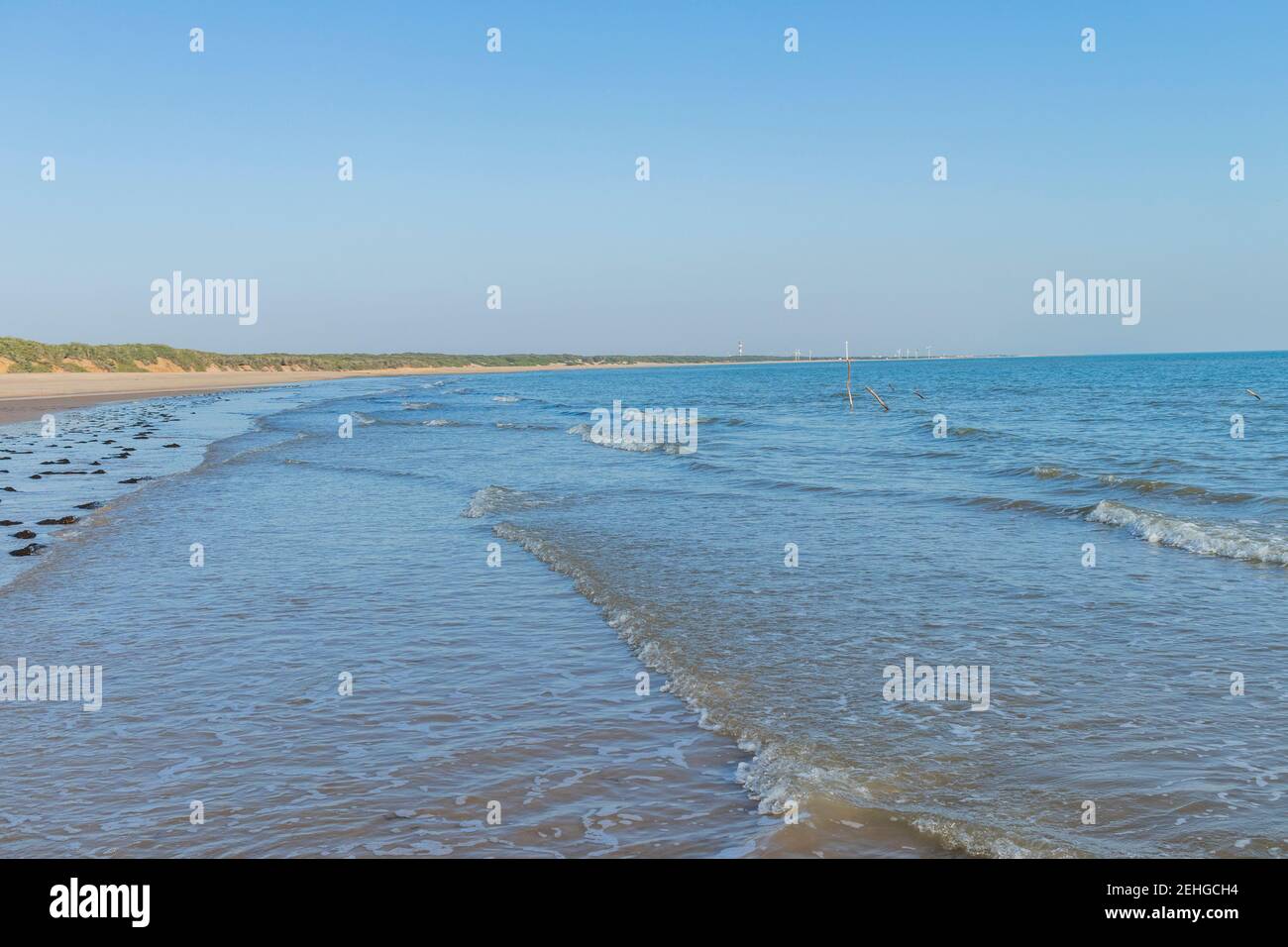Mandvi beach hi-res stock photography and images - Alamy