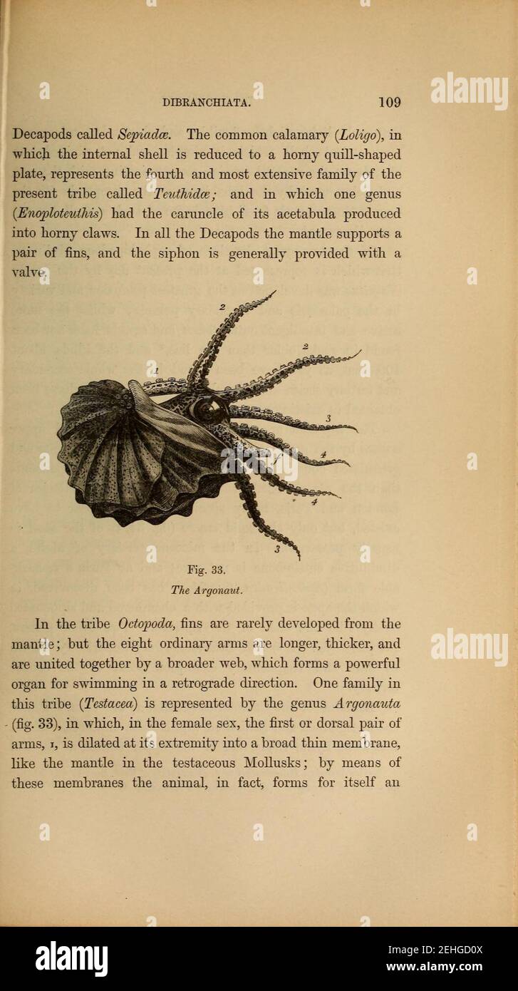 Palaeontology or A systematic summary of extinct animals and their ...