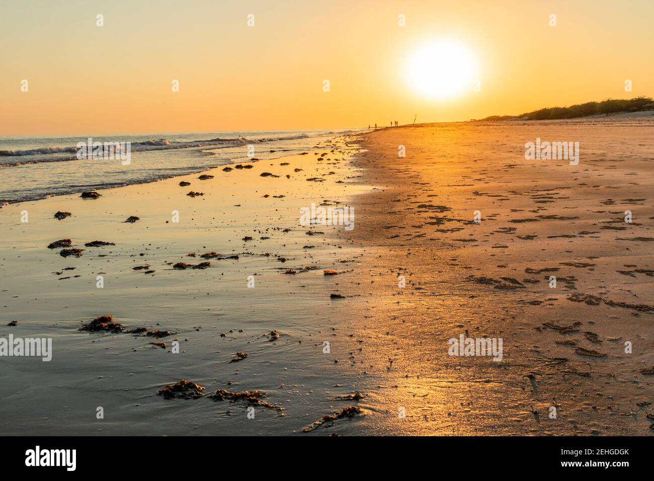 Mandvi beach in the evening Stock Photo - Alamy