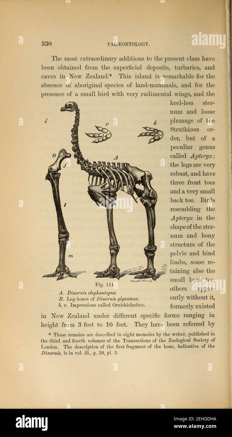 Palaeontology or A systematic summary of extinct animals and their ...