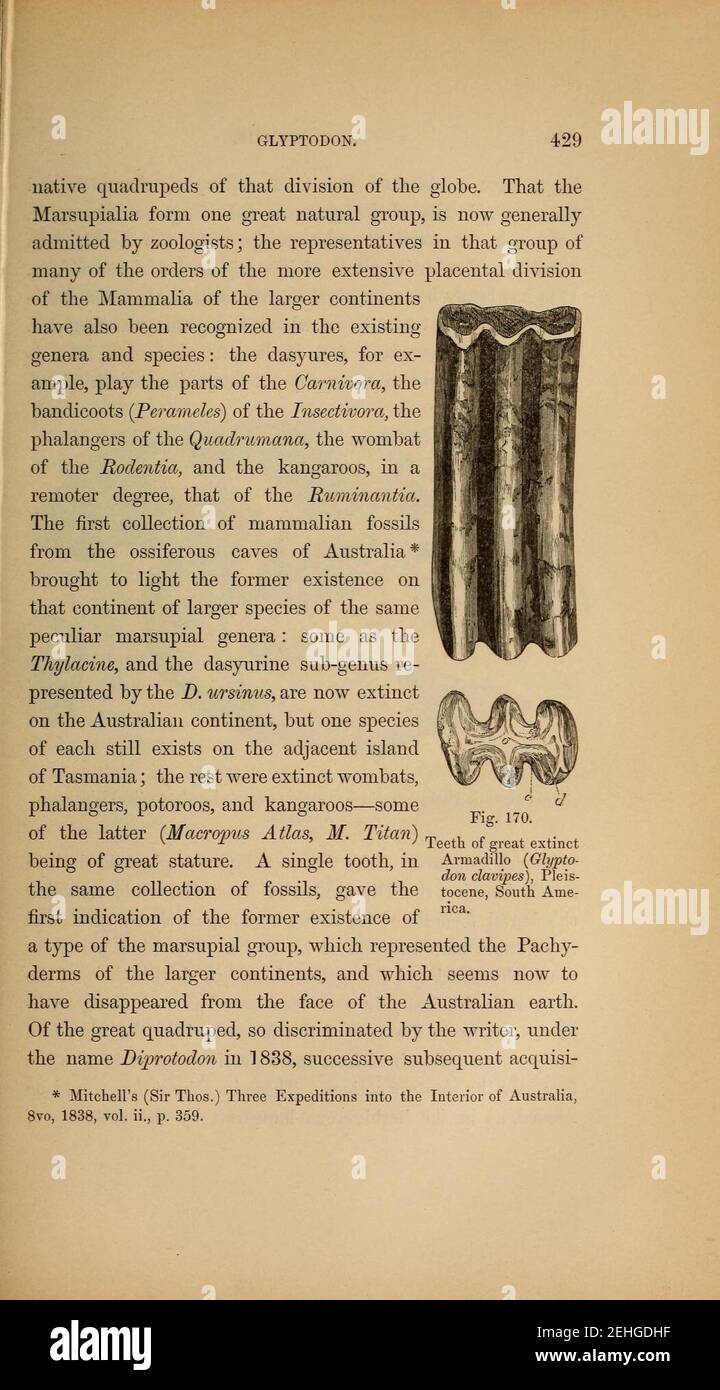 Palaeontology or A systematic summary of extinct animals and their ...
