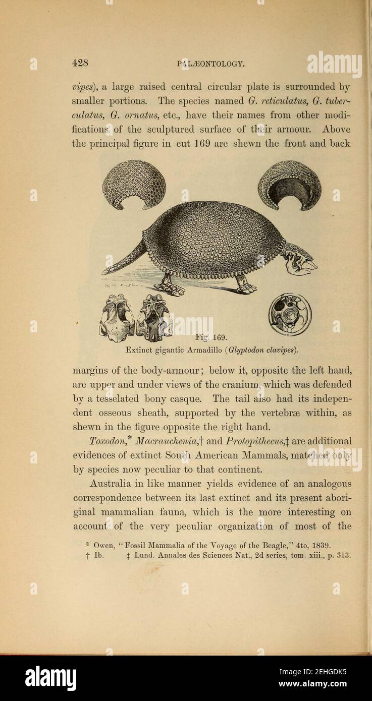 Palaeontology or A systematic summary of extinct animals and their ...