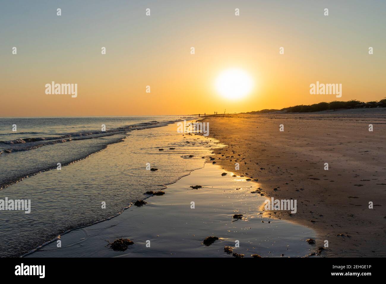 Mandvi beach in the evening Stock Photo - Alamy