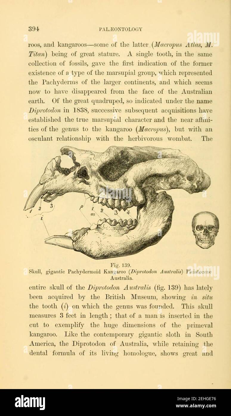 Palaeontology, or, A systematic summary of extinct animals and their ...
