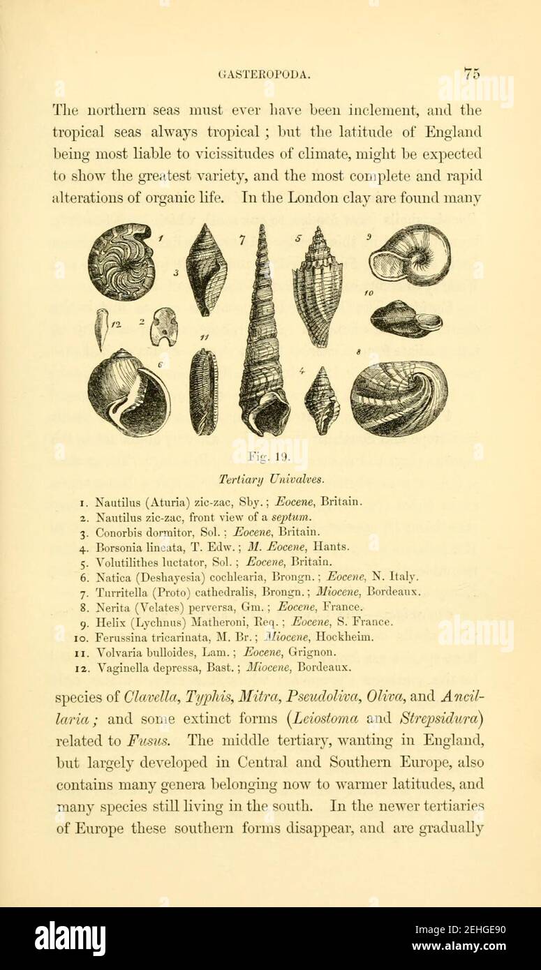 Palaeontology, or, A systematic summary of extinct animals and their ...