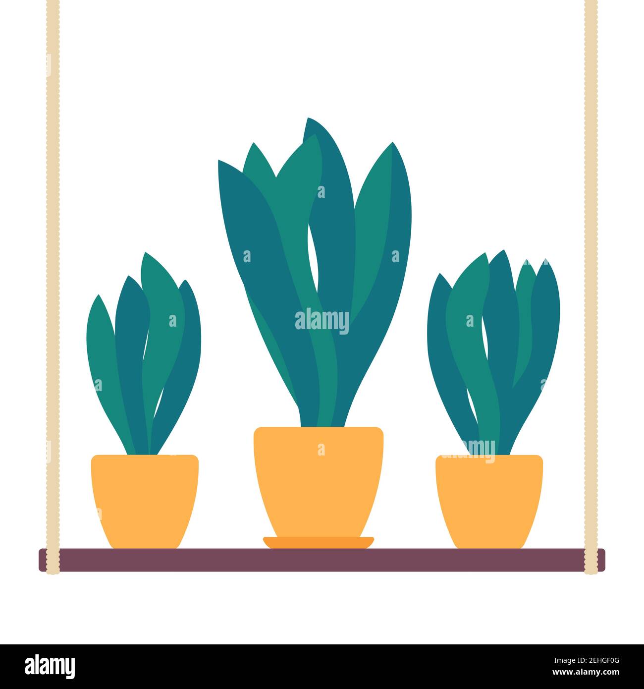 Snake plant decor art hi-res stock photography and images - Alamy