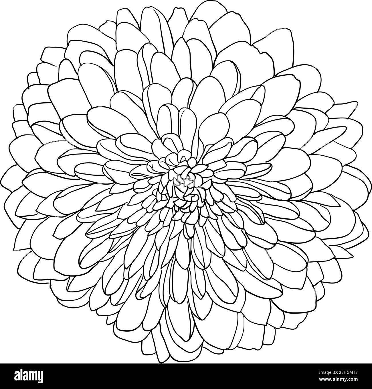 Beautiful sketch flower on white background Stock Vector Image & Art ...