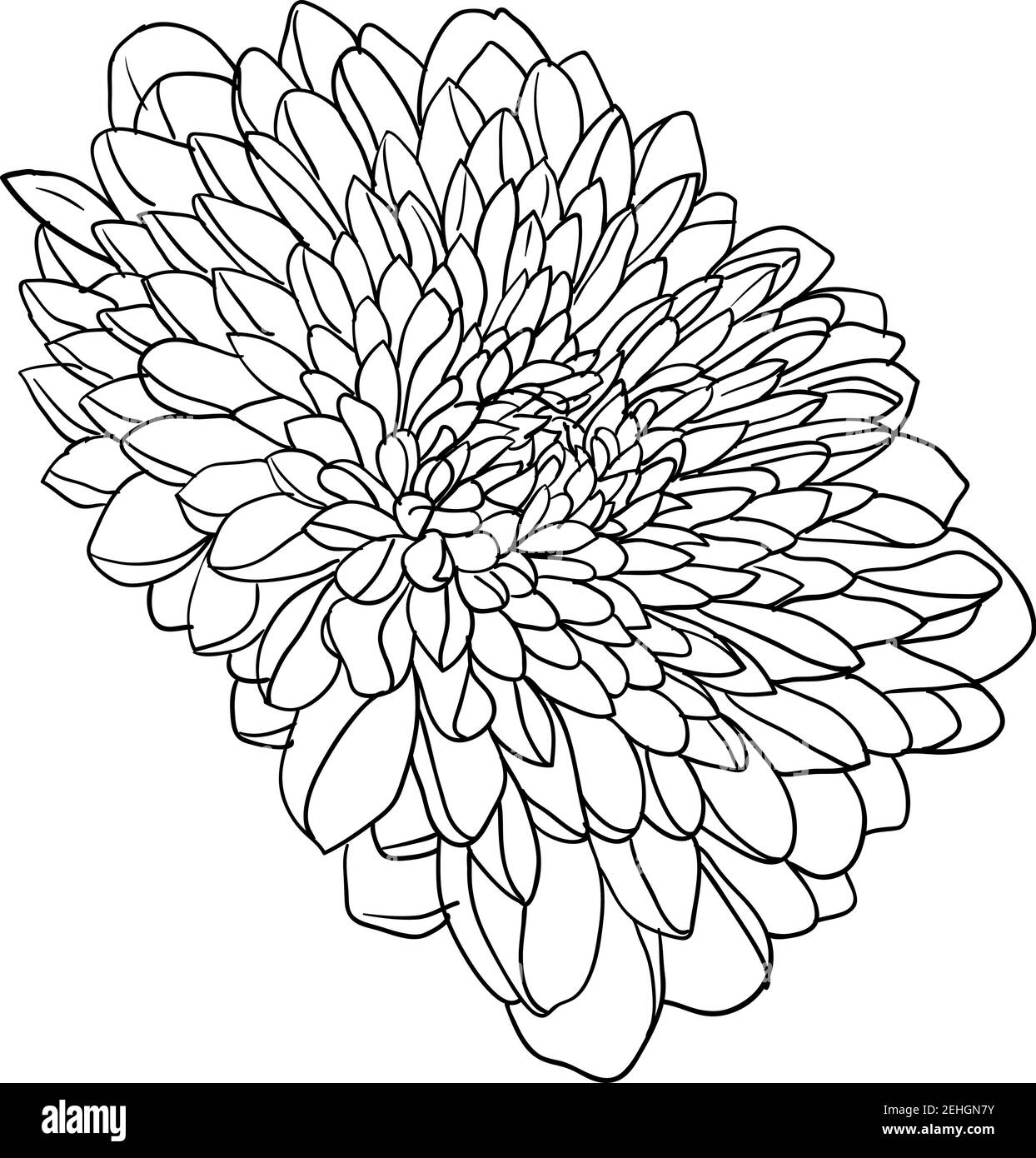 Beautiful sketch flower on white background Stock Vector Image & Art ...