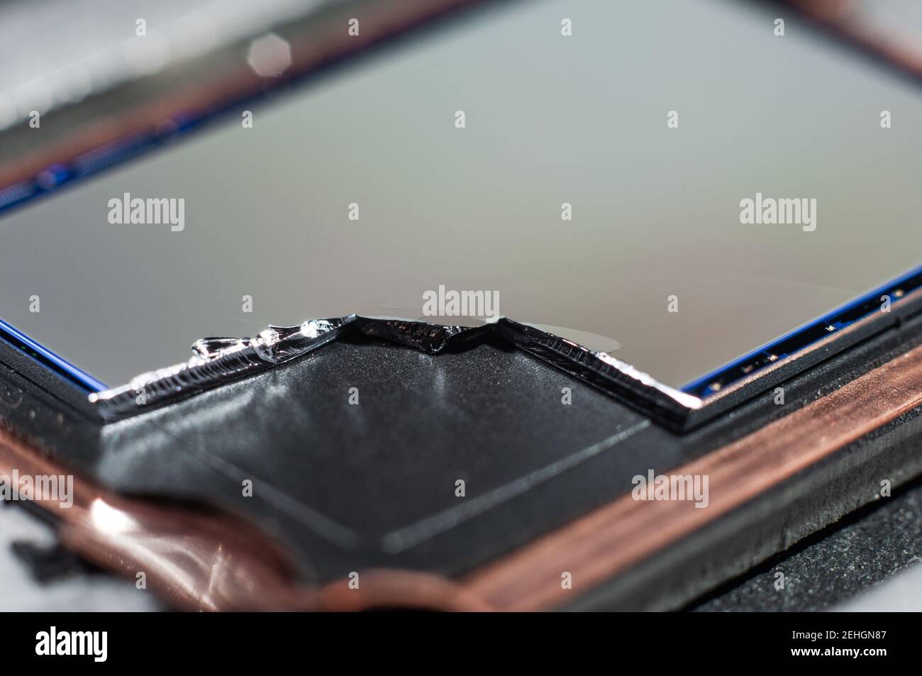 Close-up of the internal structure of the photosensitive matrix of the ...