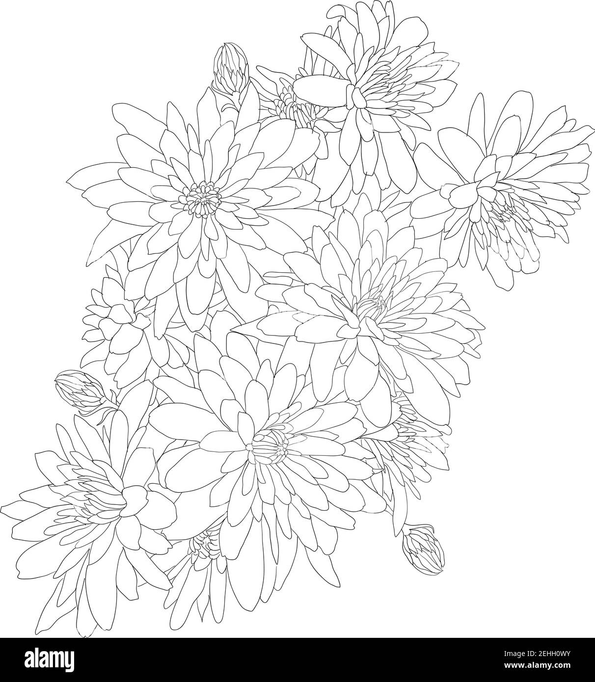 Beautiful sketch flower on white background Stock Vector Image & Art ...