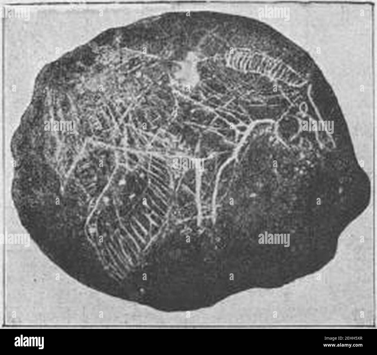 Paleolithic rock drawing Stock Photo - Alamy
