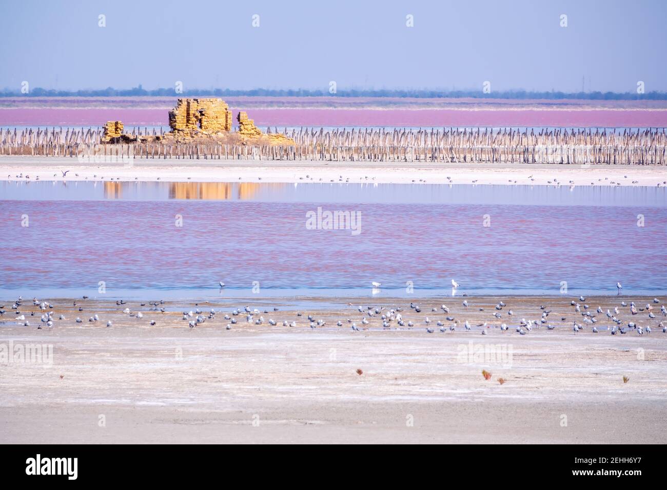 A beautiful salt lake with pink water. Beautiful view of pink lake on ...